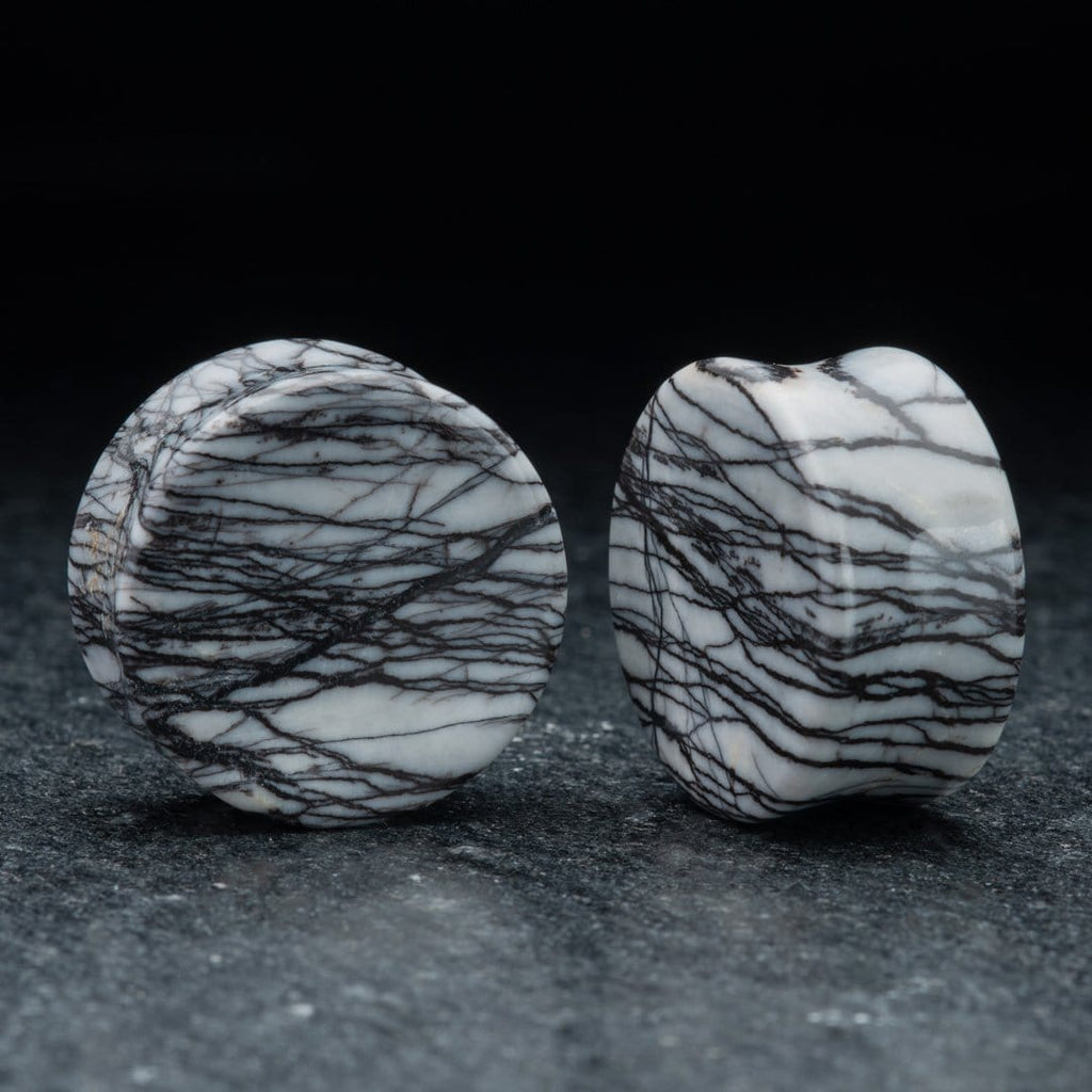 Stone Plugs, Tunnels, and Hangers – Arctic Buffalo